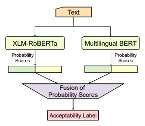 Multilingual and Low Resource NLP | CSECU-DSG